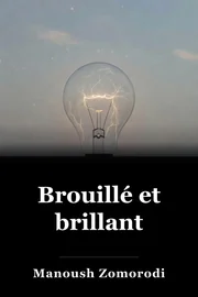 Brouillé et brillant book cover