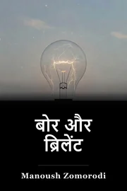 बोर और ब्रिलेंट book cover