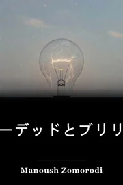 ボーデッドとブリリアント book cover
