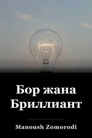 Бор жана Бриллиант book cover