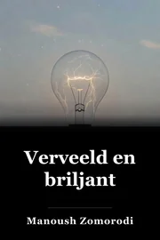 Verveeld en briljant book cover