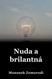 Nuda a brilantná book cover