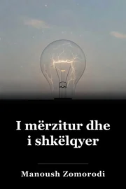 I mërzitur dhe i shkëlqyer book cover