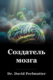 Создатель мозга book cover