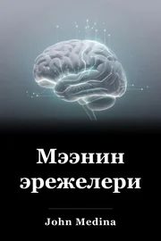 Мээнин эрежелери book cover