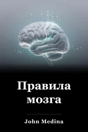 Правила мозга book cover