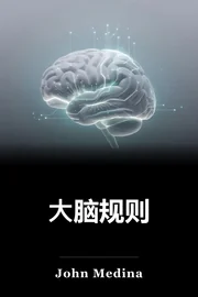 大脑规则 book cover