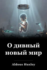 Брачный новый мир book cover