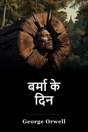 बर्मी दिवस book cover