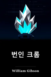 불타는 크롬 book cover