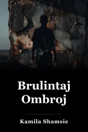 Burnt Shadows book cover