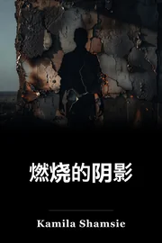 燃烧的阴影 book cover