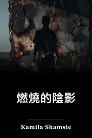 被燒的影 book cover