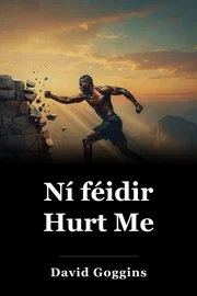 Ní féidir Hurt Me book cover