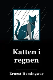 Kat i regnen book cover