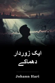 ایک زوردار دھماکے book cover