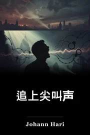 追上尖叫声 book cover