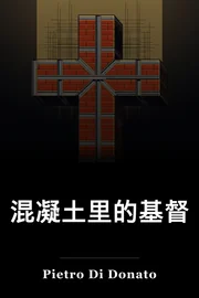 基督在混凝土 book cover