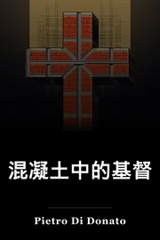 混凝土中的基督 book cover