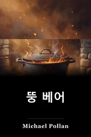 뚱 베어 book cover