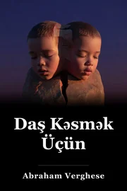 Daşın book cover