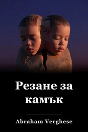 Рязане за камък book cover