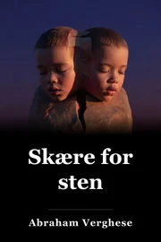 Skæring efter sten book cover