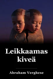 Stonen leikkaaminen book cover