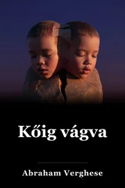 Vágás a kőért book cover