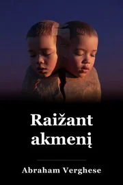 Akmens pjaustymas book cover