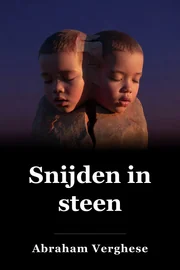 Snijden voor steen book cover