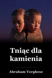 Cięcie na kamień book cover