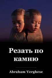 Отрезок для камня book cover