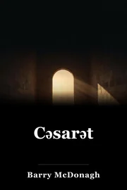 Bakı book cover