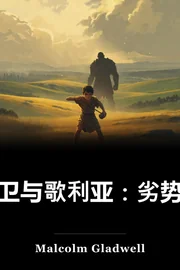 大卫和高丽 book cover