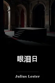 眼泪日 book cover