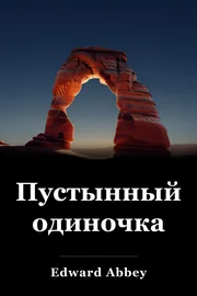 Солитер book cover