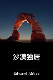 沙漠独奏者 book cover