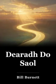 Dearadh Do Saol book cover