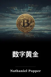 数字黄金 book cover