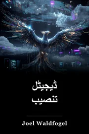 ڈیجیٹل تنصیب book cover
