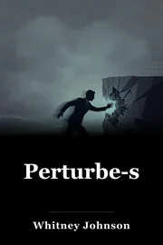 Perturbe-se book cover