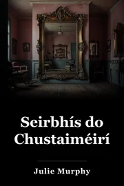 Seirbhís do Chustaiméirí book cover