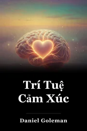 Trí Tuệ Cảm Xúc book cover