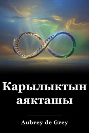 Карылыктын аякташы book cover