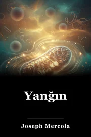 Yanğın book cover