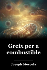 Fat per al combustible book cover