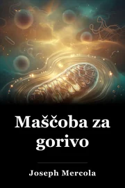 Maščoba za gorivo book cover
