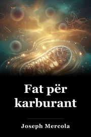 Fat për karburant book cover