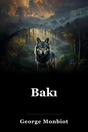 Bakı book cover